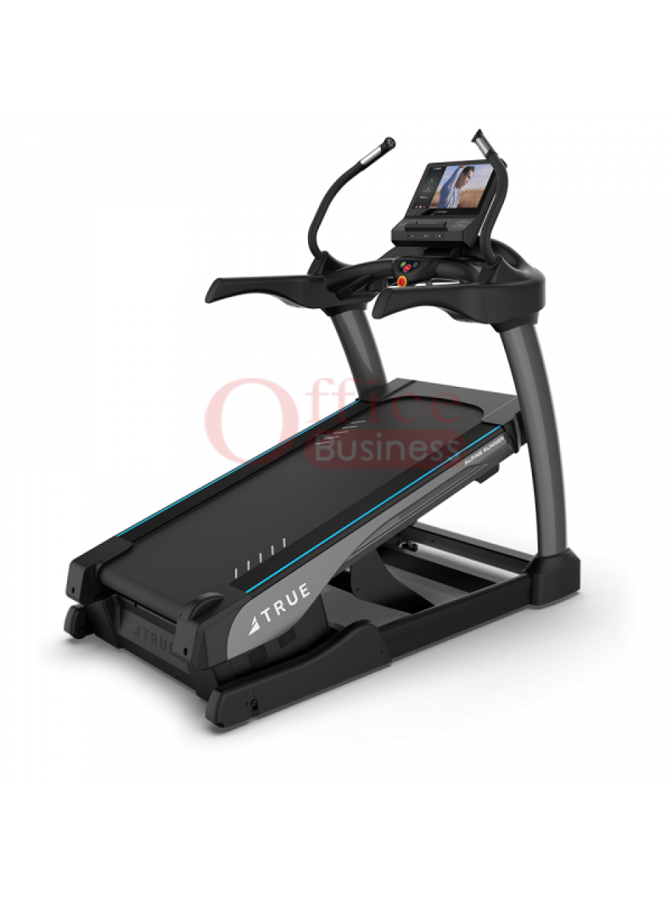 TRUE ALPINE RUNNER INCLINE TRAINER เครื่องออกกำลังกายกลางแจ้ง เครื่อง ...