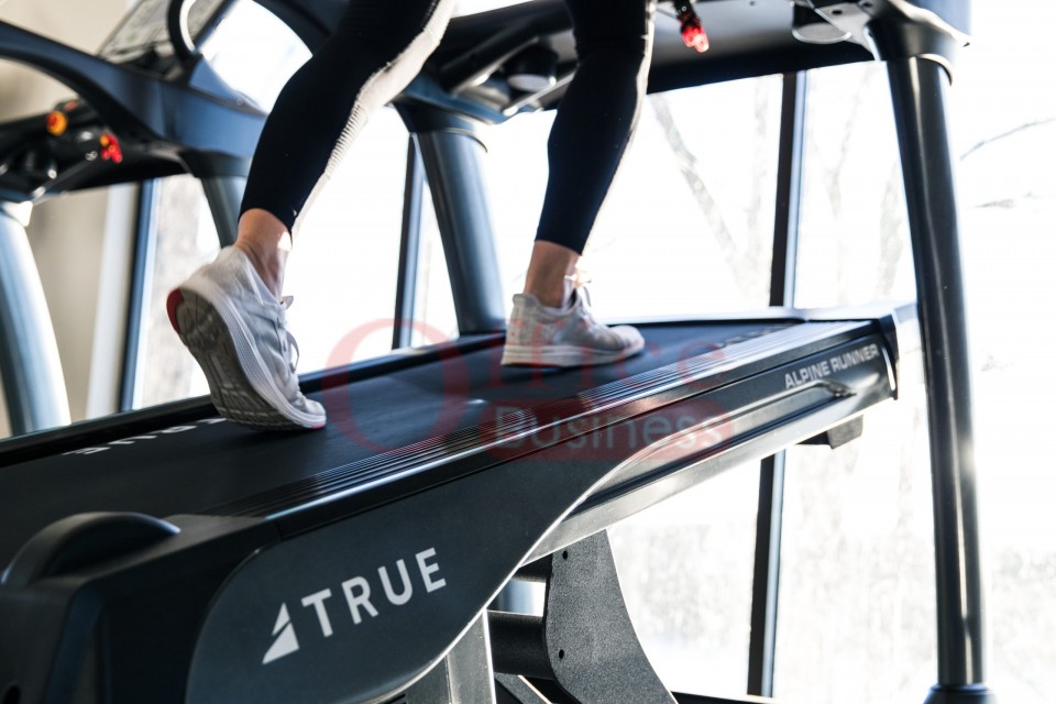 TRUE ALPINE RUNNER INCLINE TRAINER เครื่องออกกำลังกายกลางแจ้ง เครื่อง ...